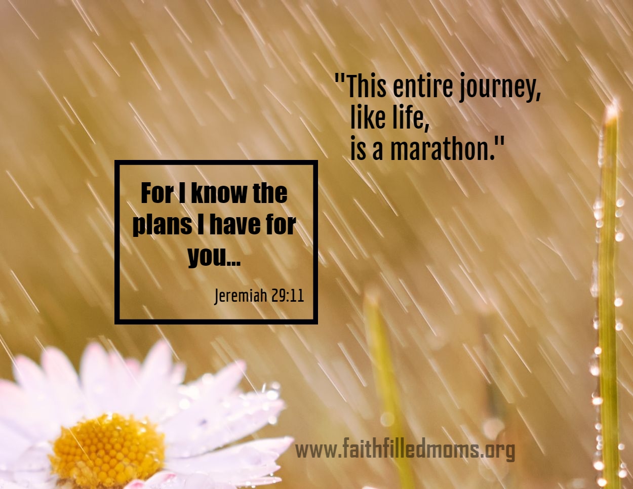 Turning the Bitter Into Something Better – by Shanna Thomas – Faith ...